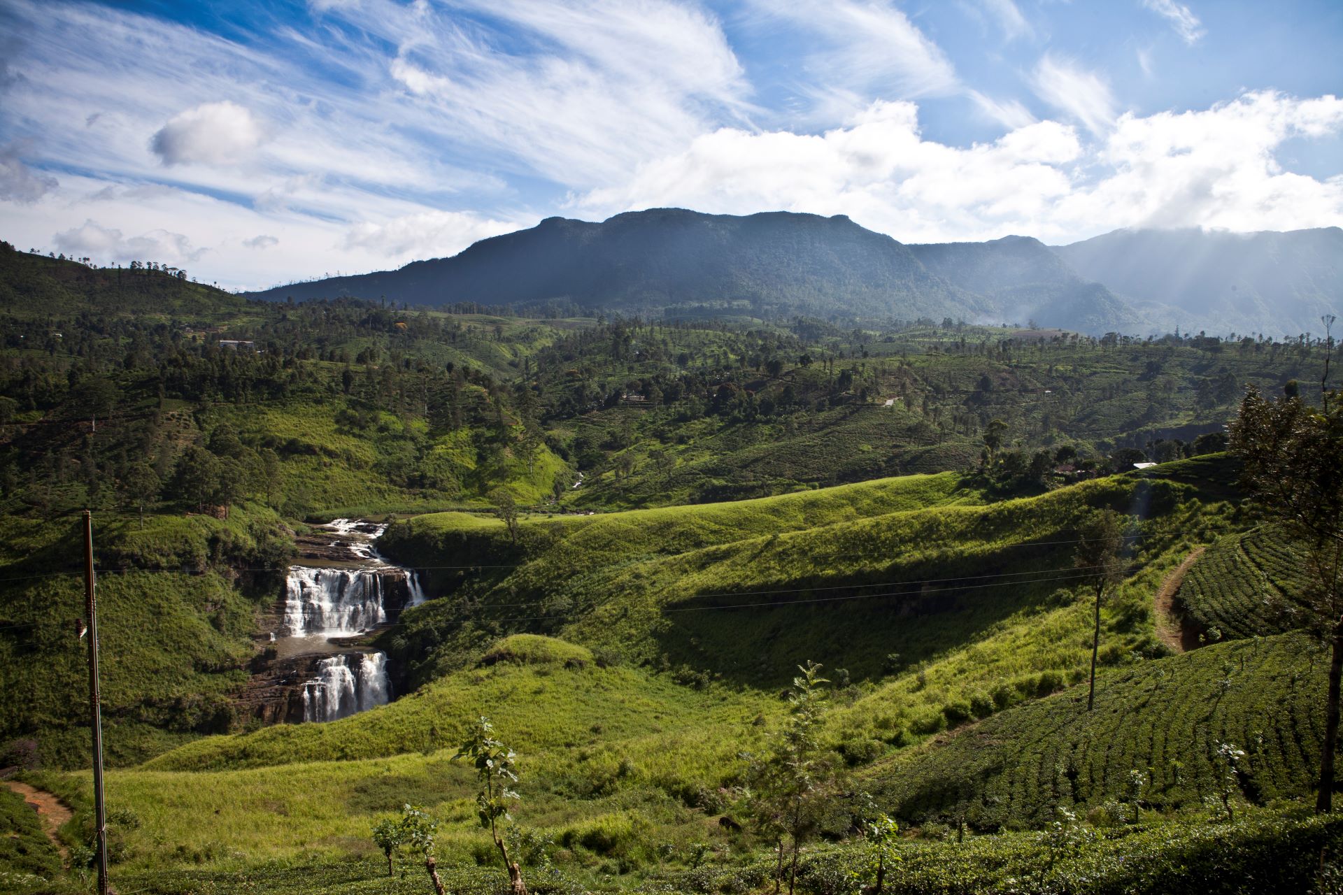 Tea, Tracks & Highlands Photography - NexRoaming